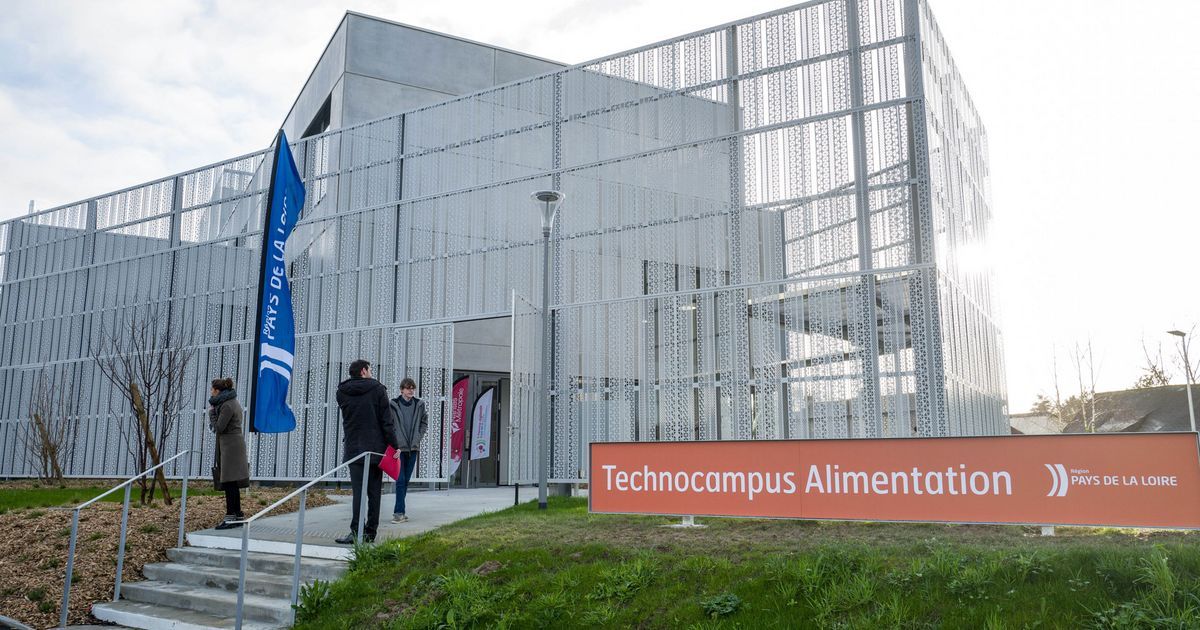 Aides : Projet innovation ou recherche et développement | Région Pays de la Loire